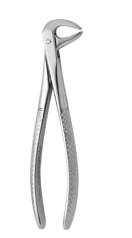 Medesy - Tooth Forceps